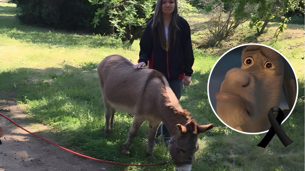 Fallece Perry, el asno que inspiró a 'Burro' en Shrek, a los 30 años